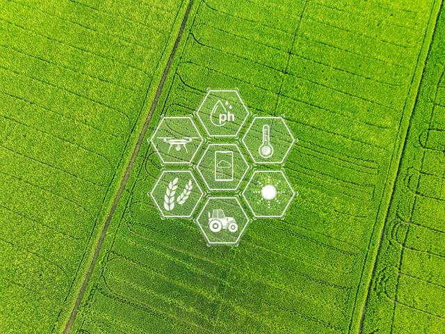 Innovative Agtech Solutions by Mother Wild in Toronto